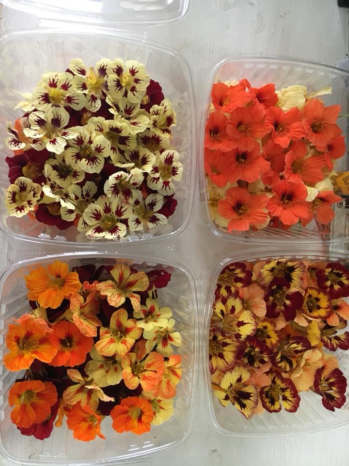 Sunshine Miles Farm - Buy Local NB