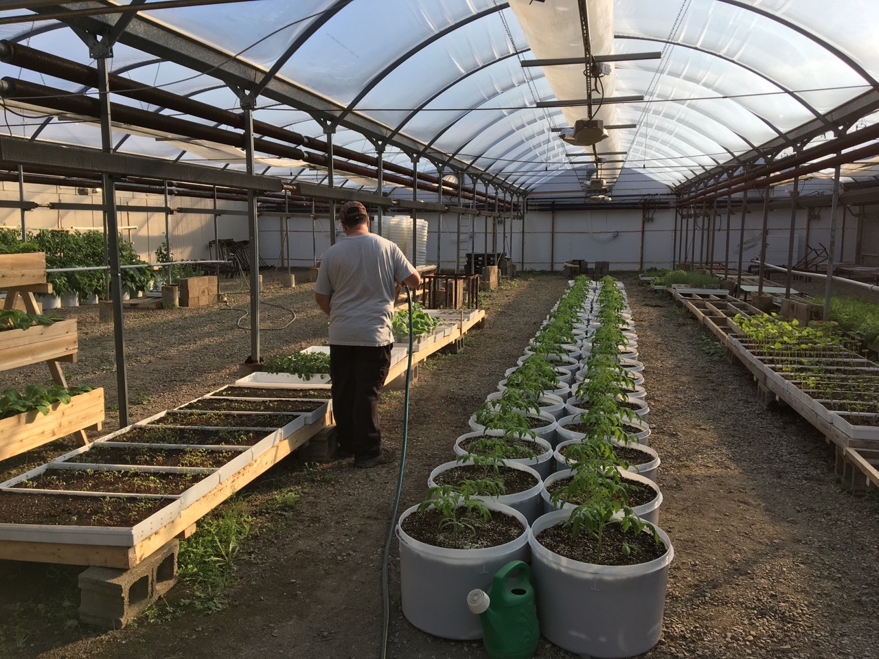 Serres MAX Produce – Buy Local NB